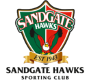 Senior QAFL Coach – Sandgate Hawks AFC | AFL Queensland